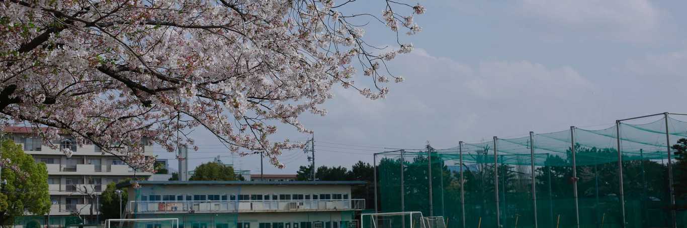 パンフレット・資料請求